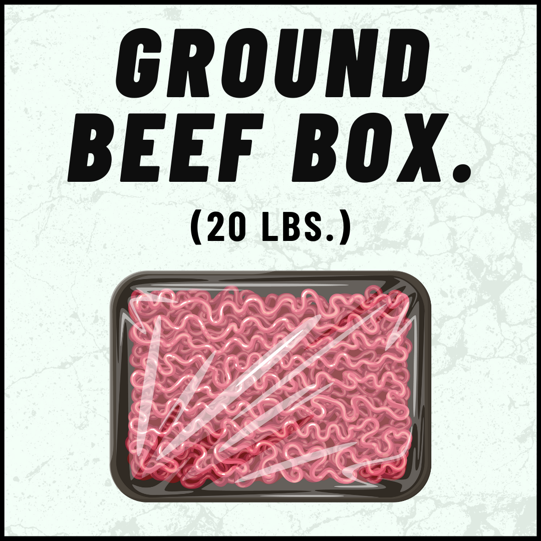 Ground Beef Box (20lbs) – 3S Cattle Co.